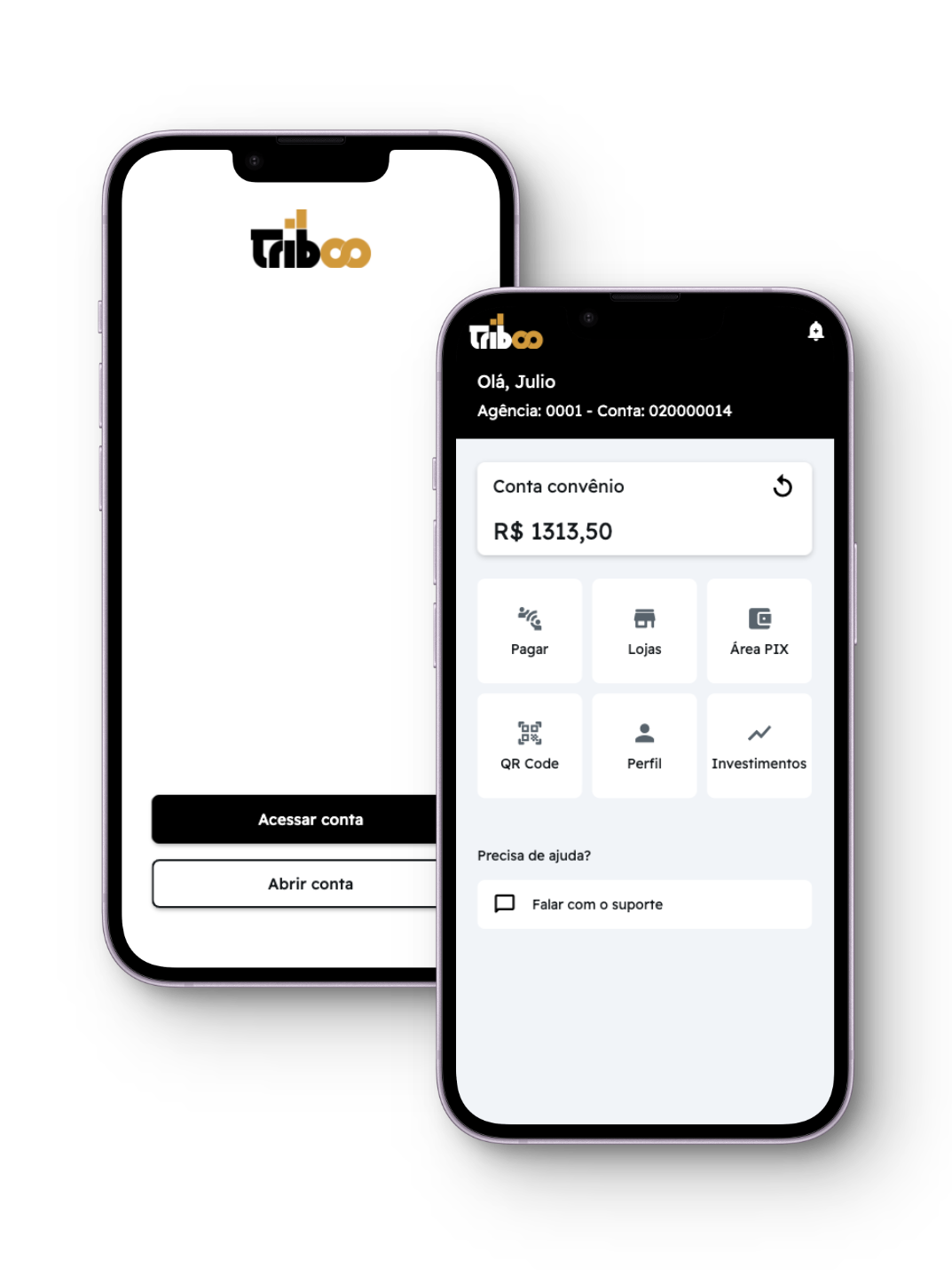 Projetos: Triboo - Conta digital para pequenas cidades - Multpla